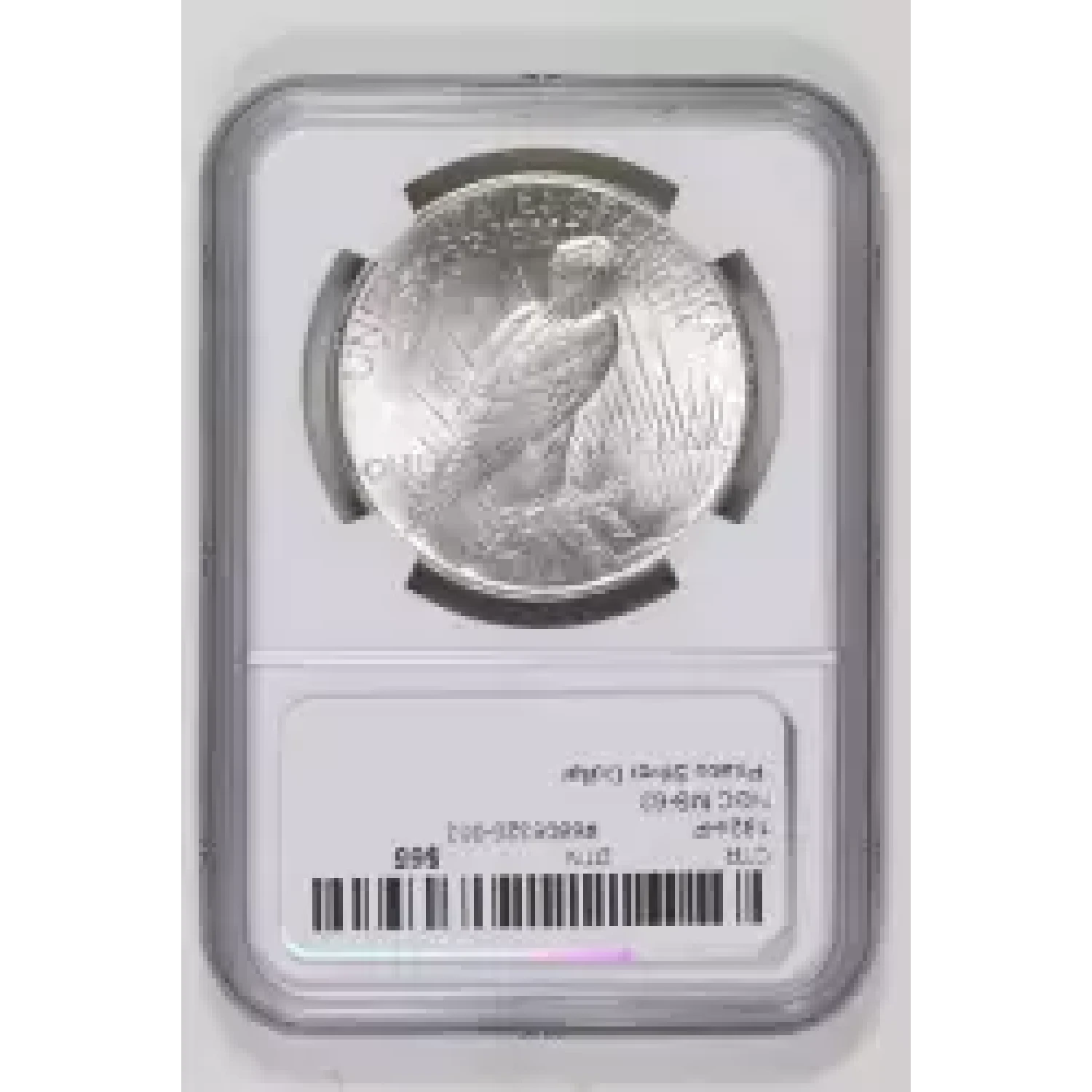 1924 NGC MS-63 - Lost Dutchman Rare Coins