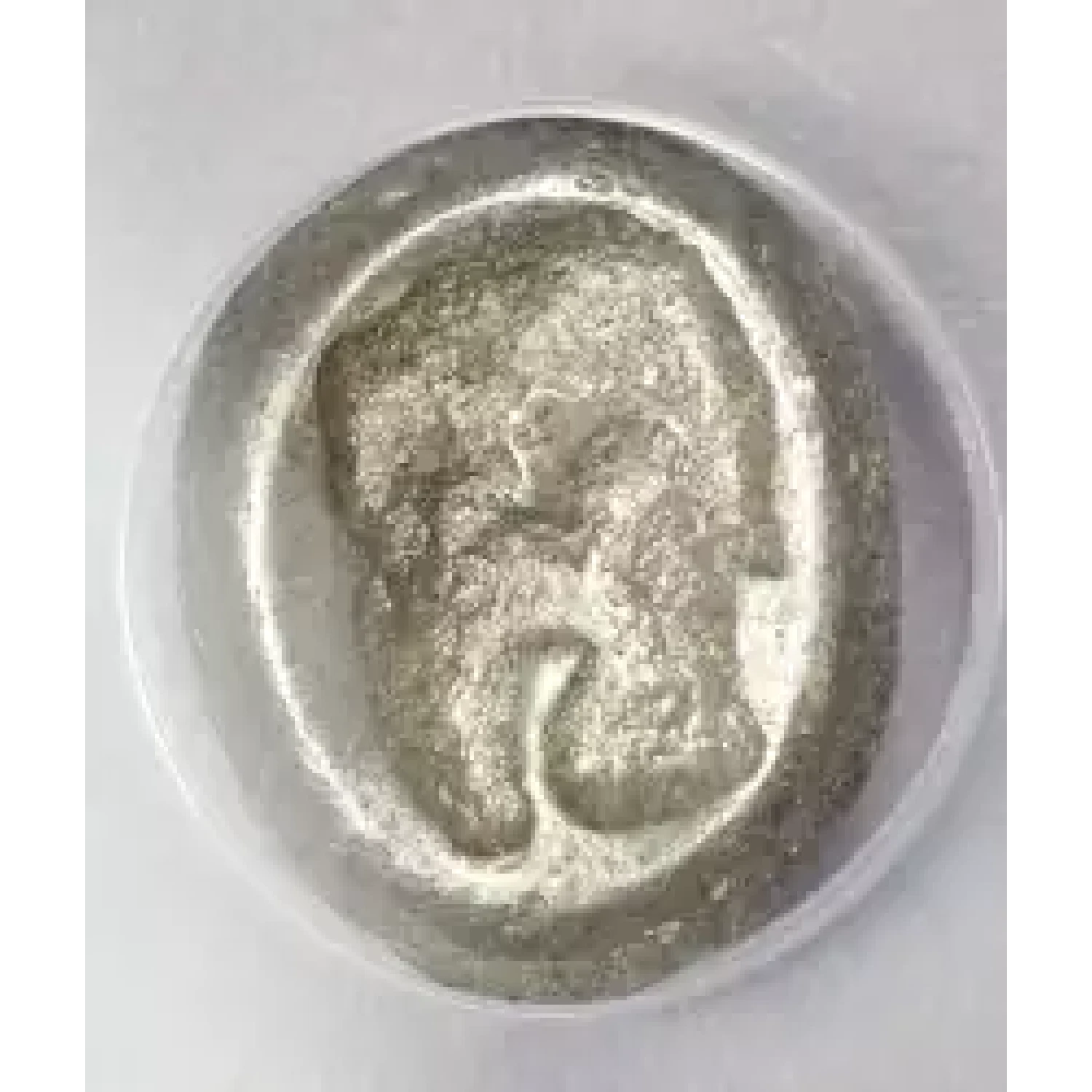 ANACS VF35 Achaemenid Darius I-Xerxes II AR Siglos Ancient Greek Coin ...