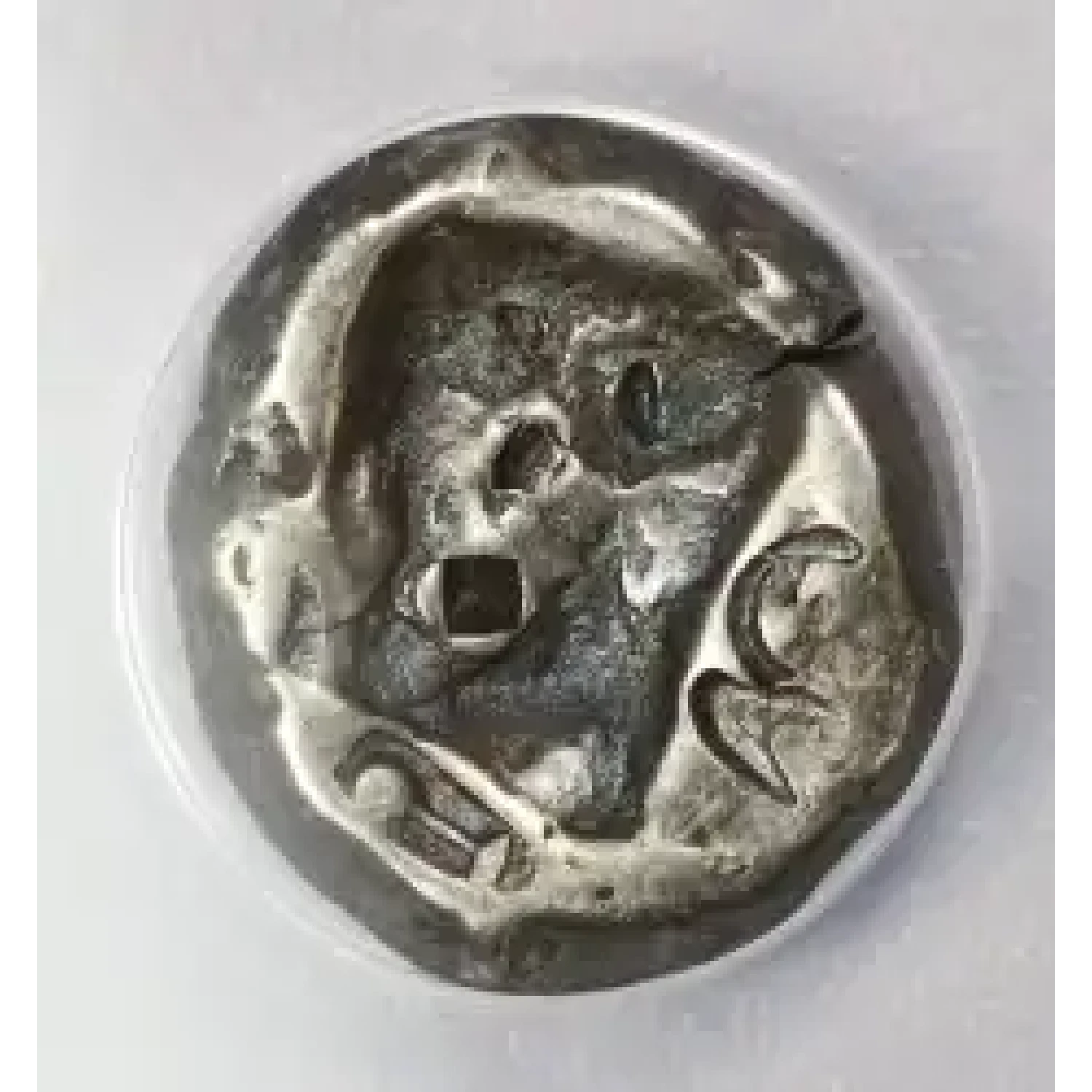 ANACS VF30 Achaemenid Darius I-Xerxes II AR Siglos Ancient Greek Coin ...