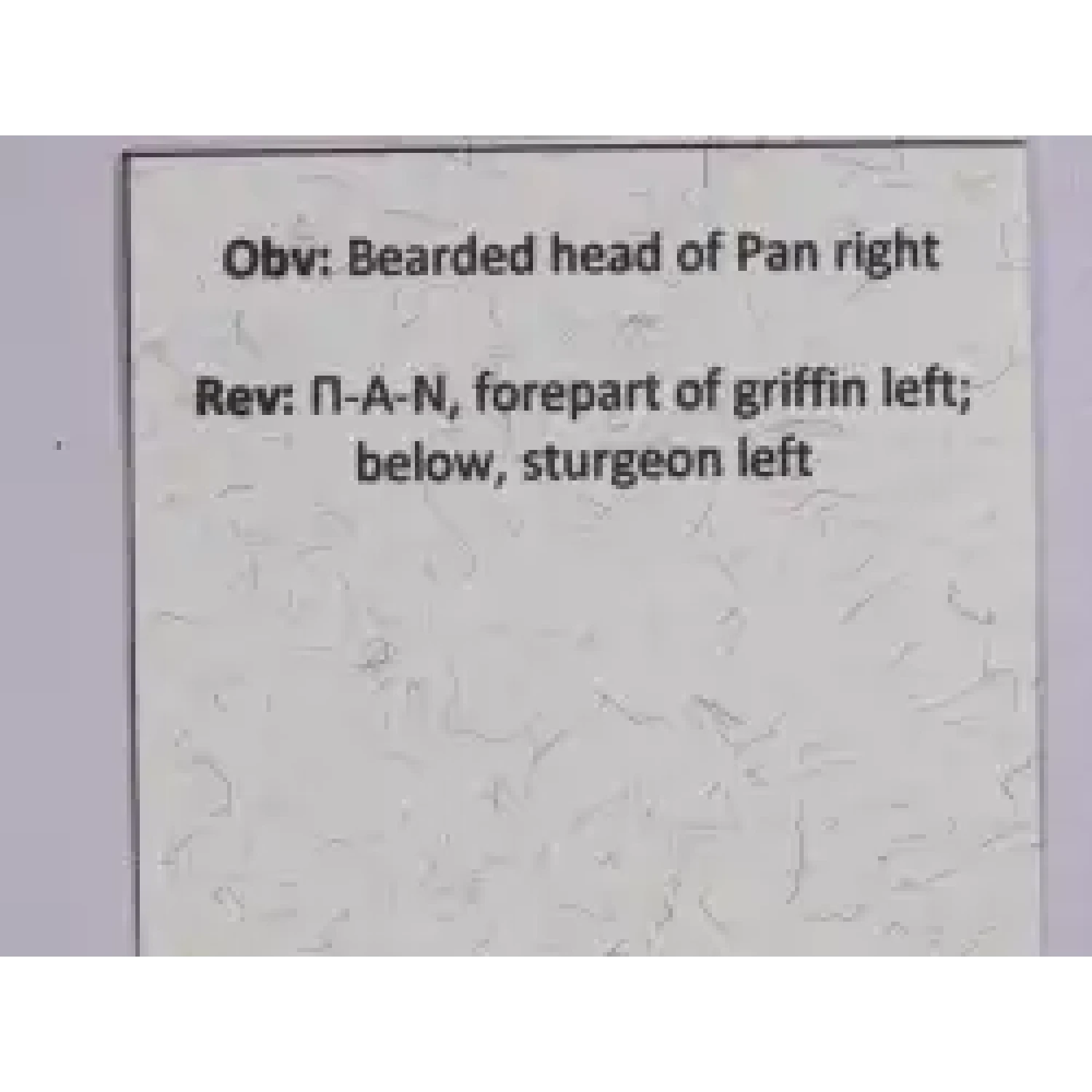 Thrace, Pantikapaion AE22 310-303 BC Satyr/Griffin Ancient Greek Coin ...