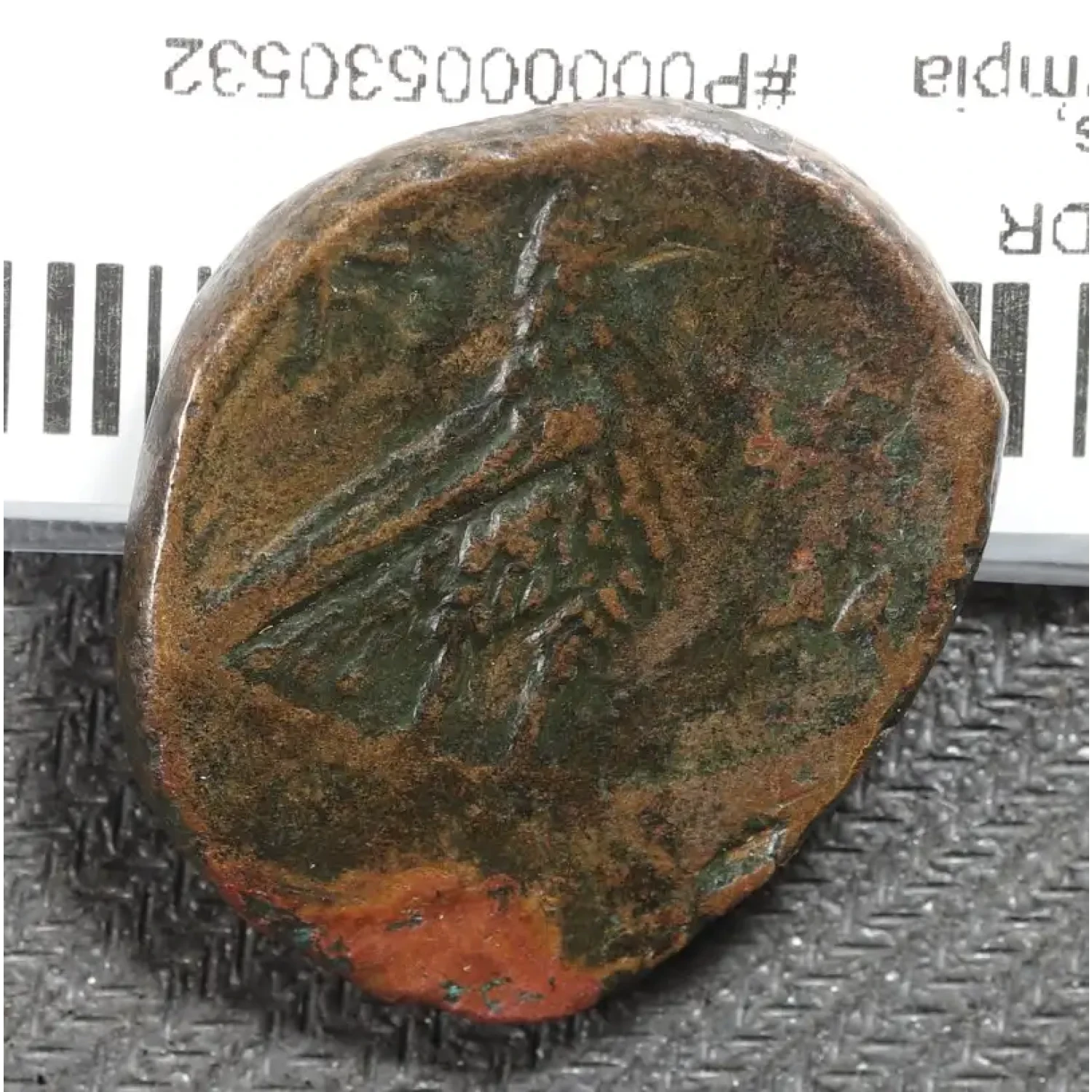 Elis, Olympia AE Diassarion ca. early 30's BC SCARCE Ancient Greek Coin ...