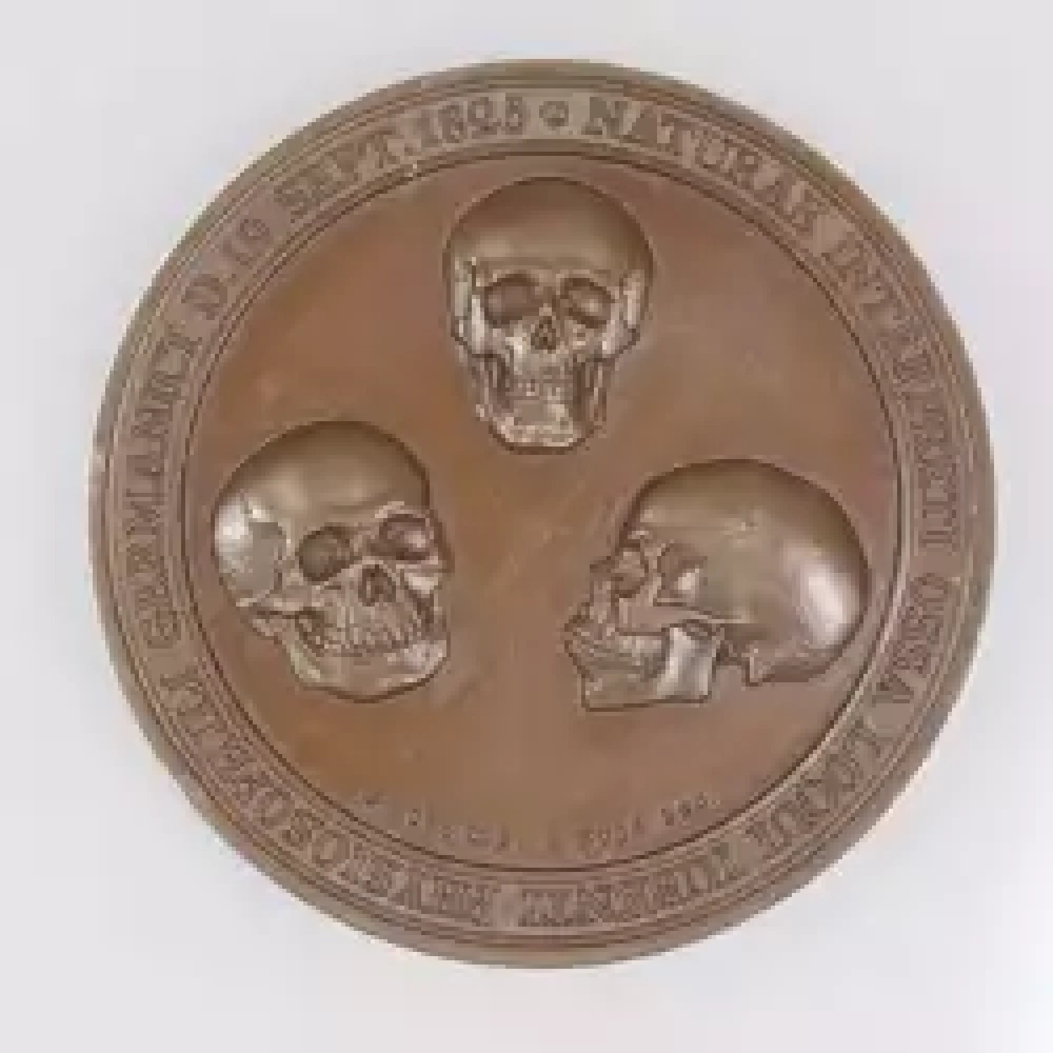 1825 Medal NGC MS-64 Skull Medal WURZB.-841 JOHANN BLUMENBACH - Lost ...